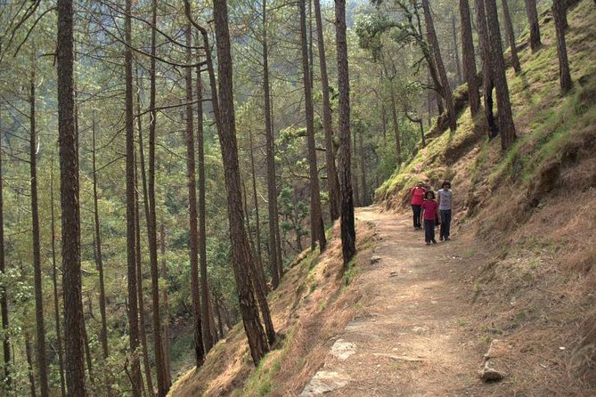 Binsar Sanctuary Walking Holiday - Why This Tour Offers Value