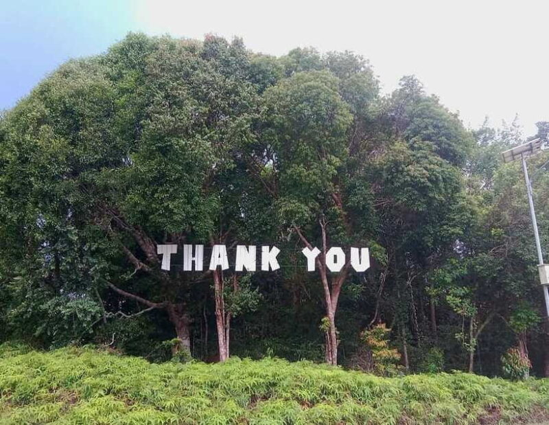 Bintan car rental - What Travelers Say: Authentic Feedback