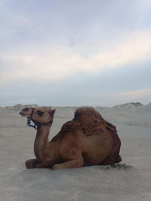 Bintan Desert And Blue Lake Private Tour - A Closer Look at Bintan Desert & Blue Lake