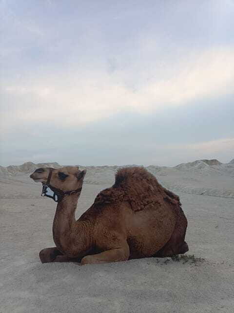 Bintan Desert And Blue Lake Private Tour - Conclusions: Is This Tour for You?