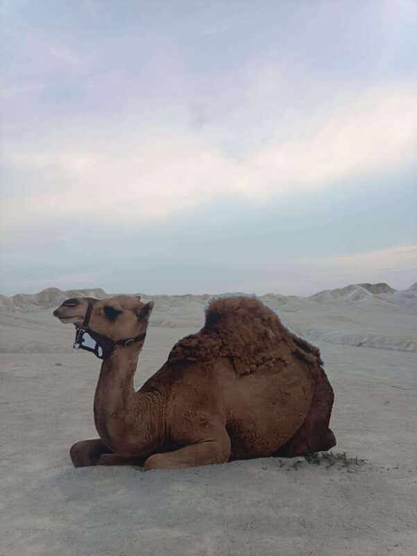 Bintan: Desert and Blue Lake Tour - The Surreal Blue Lake: A Post-Apocalyptic Oasis