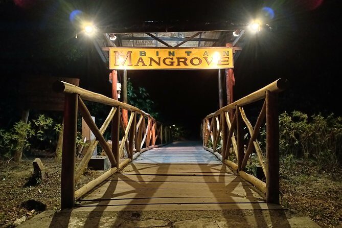 Bintan Fireflies Discovery Tour - What to Expect from the Bintan Fireflies Discovery Tour