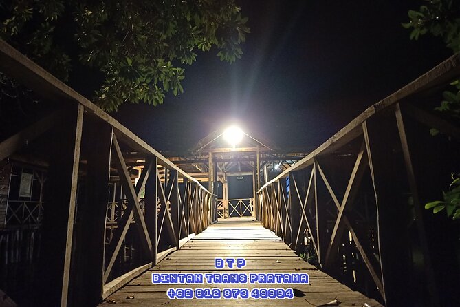 Bintan Fireflies Discovery Tour - A Closer Look at the Bintan Fireflies Discovery Tour