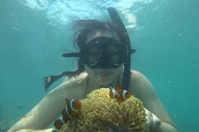Bintan Island Snorkeling, Kayaking and Fun Fishing Activity - Key Points