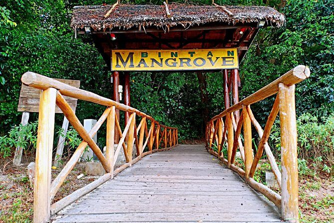 Bintan Mangrove Discovery Tour - What to Expect from the Bintan Mangrove Discovery Tour