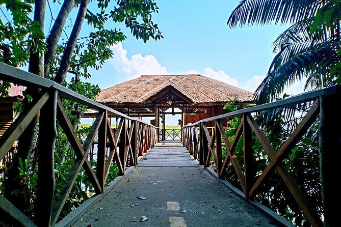 Bintan Mangrove Discovery Tour - FAQs