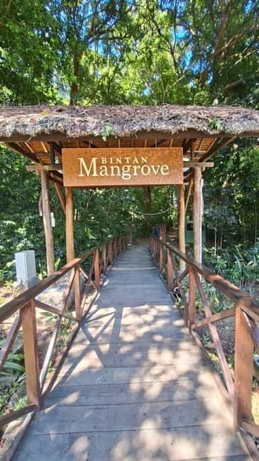 Bintan Mangrove Or Fireflies Tour - Key Points