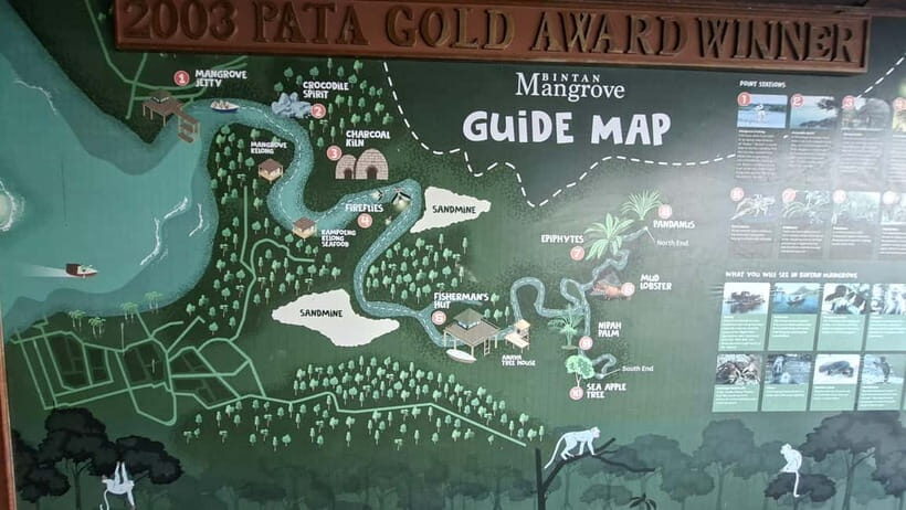 Bintan Mangrove Or Fireflies Tour - An In-Depth Look at the Bintan Mangrove and Fireflies Tour
