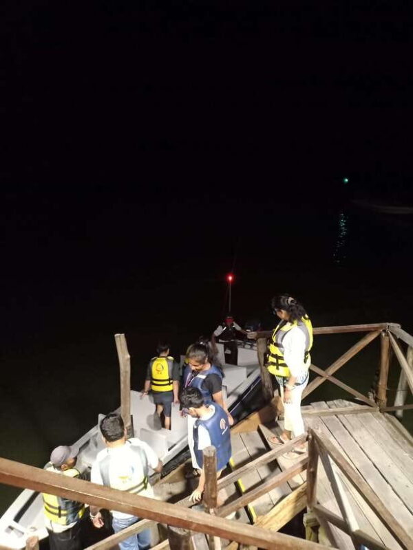 Bintan Mangrove OR Fireflies Tour - What to Expect from the Tour