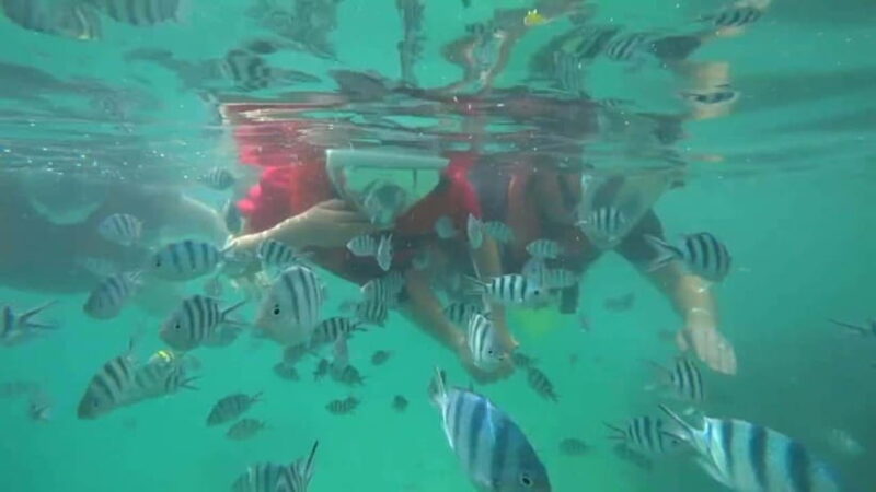 Bintan Snorkeling - The Value of What’s Included and Not