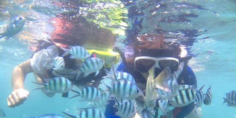 Bintan snorkeling - Key Points
