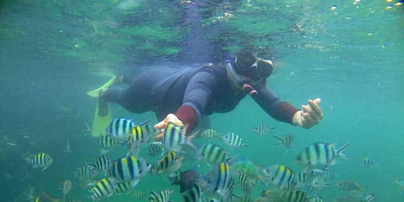 Bintan snorkeling - Snorkeling: The Heart of the Tour