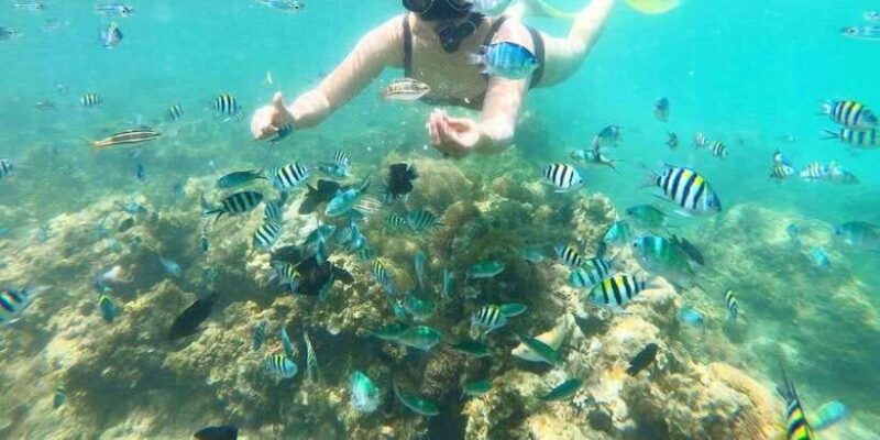 Bintan snorkeling - FAQs