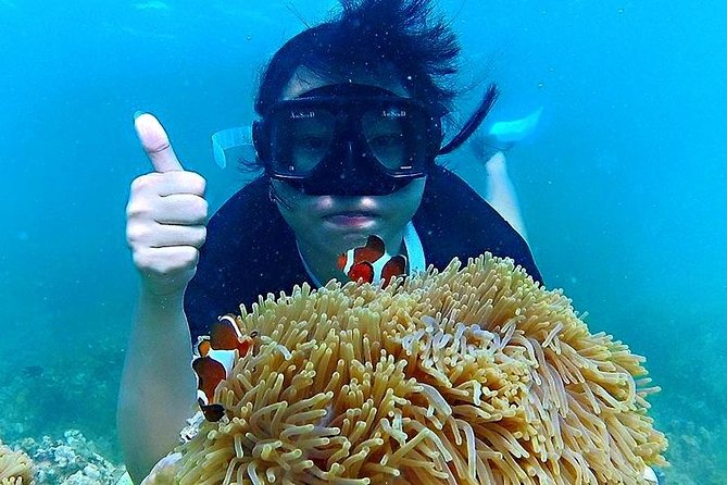 Bintan Snorkeling Tour - A Detailed Look at the Bintan Snorkeling Tour