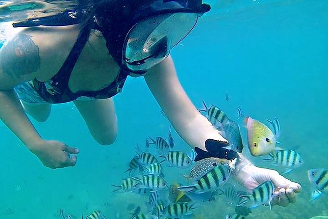 Bintan Snorkeling Tour - The Itinerary: What to Expect