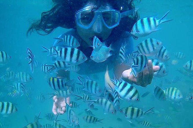 Bintan Snorkeling Tour - The Value for Money