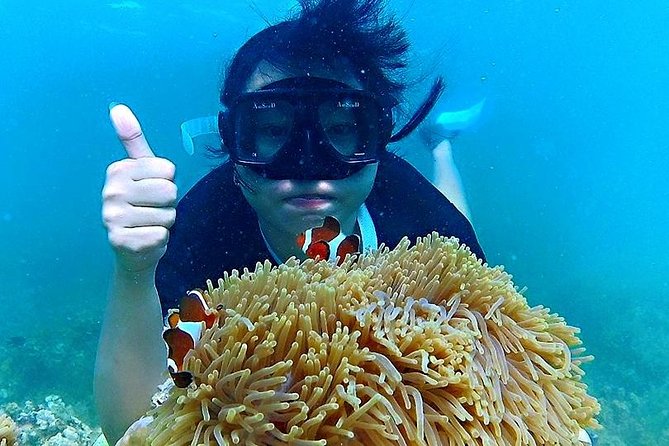 Bintan Snorkeling Tour - Authentic Marine Encounters