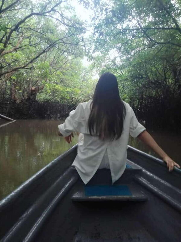 Bintan Tour Mangrove or Fireflies - Discovering Bintan’s Mangrove and Fireflies Tours: An In-Depth Look