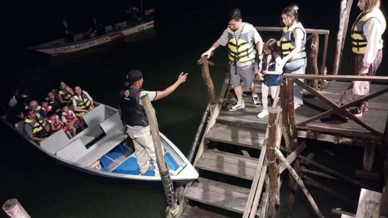 Bintan Tour Mangrove or Fireflies - What We Love About This Tour