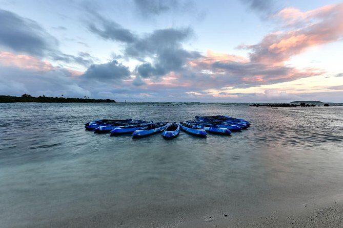 Bio Bay Kayak Tour in Fajardo - Who Would Enjoy This Tour Most?