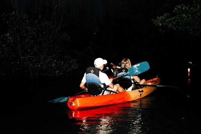 Bio Bay Kayak Tour in Fajardo - The Experience Variability: Weather and Moon Phases