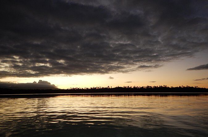 Bio Bay Kayak Tour in Fajardo - Who Should Book This Tour?