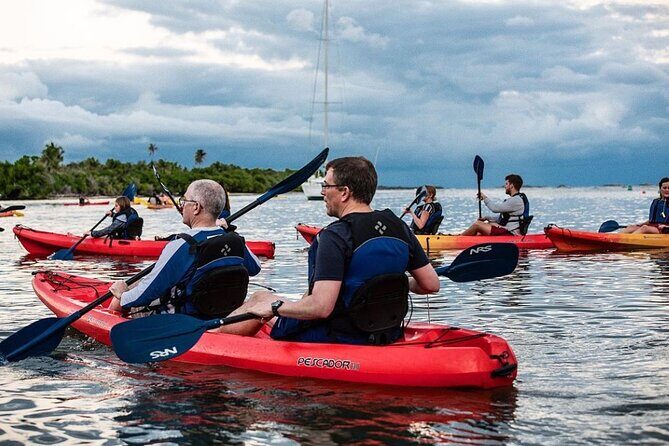 Bio Bay Kayak Tour in Fajardo - The Sum Up: Is It Worth It?