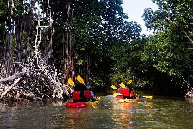 Bio Bay Night Kayak Tour in Fajardo - FAQ