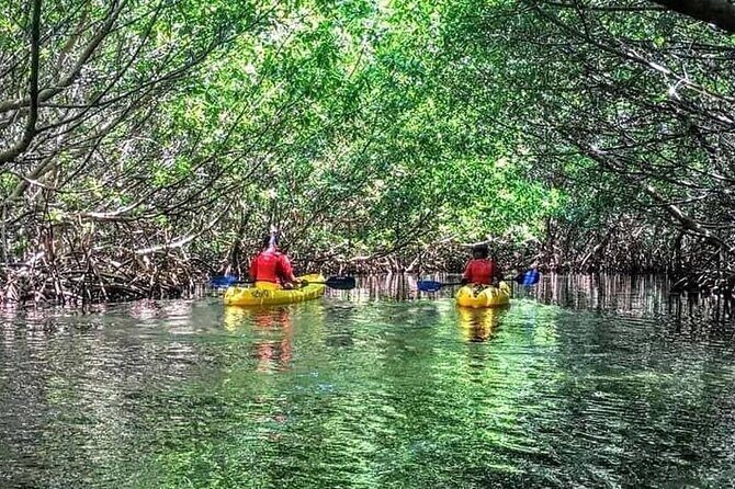 Bio Bay Night Kayak Tour in Fajardo - Final Words