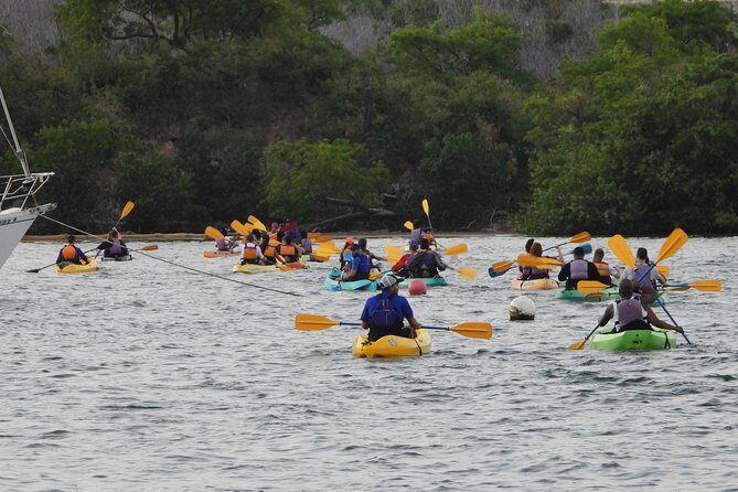 Bio Bay Night Kayak Tour with Transport from San Juan - Paddling in the Dark: The Final Act