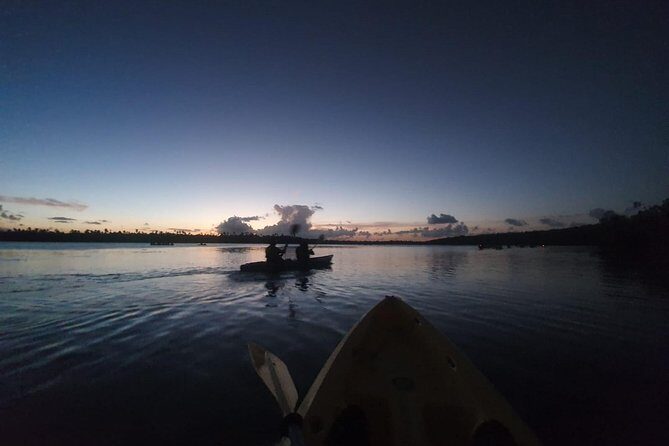 Bio Bay Night Kayaking | Laguna Grande, Fajardo - FAQ