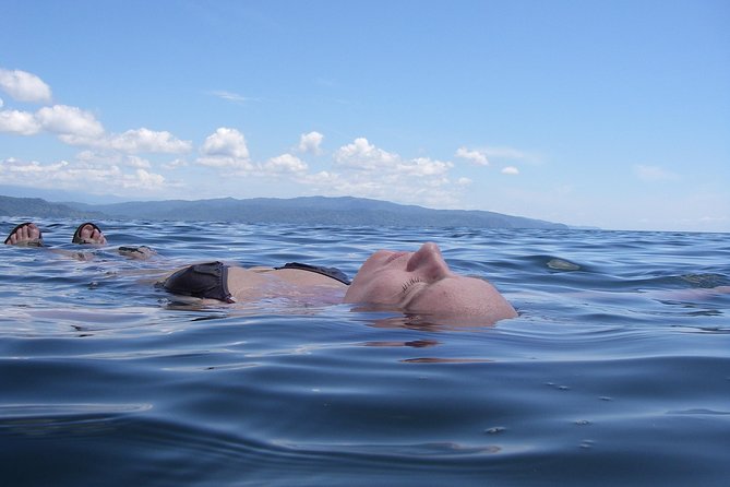 Bio-Luminescence and Sunset Kayak Tour - Whats Included