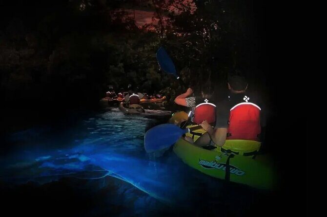 BioBay Sunset Splash-Kayaking Tour - Who Should Consider This Tour?