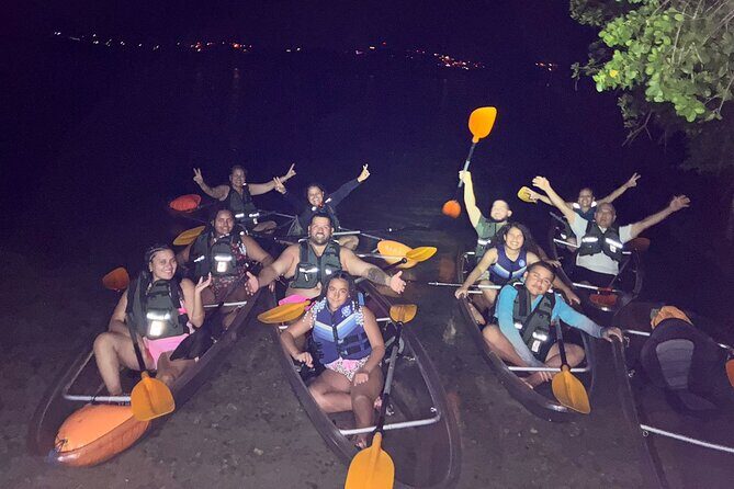 Biobay Vieques Tour Kayak Night Tour - Key Points