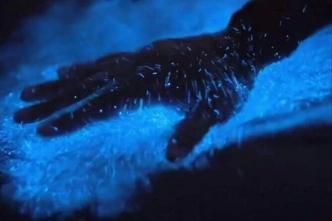 Biobay Vieques Tour Kayak Night Tour - FAQs