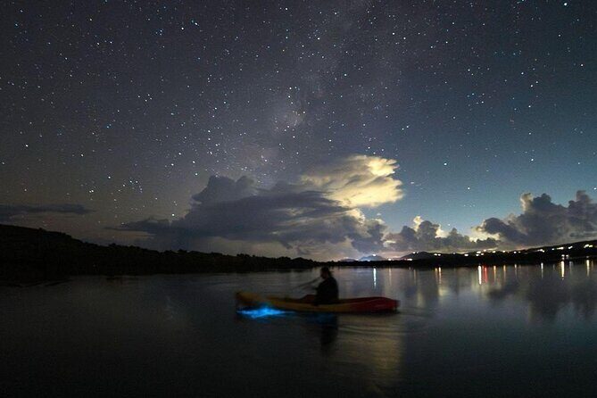 Biobay Vieques Tour Kayak Night Tour - Summary