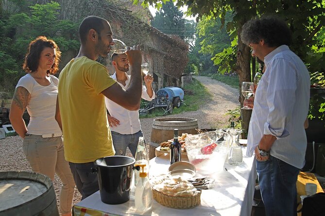 Biodynamic Farm and Natural Wines Tasting in Lazise - Exploring the Experience in Detail