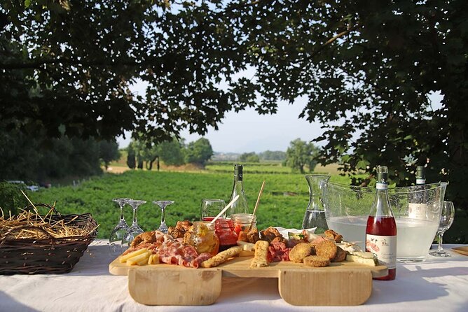 Biodynamic Farm and Natural Wines Tasting in Lazise - The Sum Up