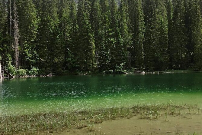 Biogradska Gora National Park Tour with Optional Add-Ons - How the Tour Fits Your Travel Style