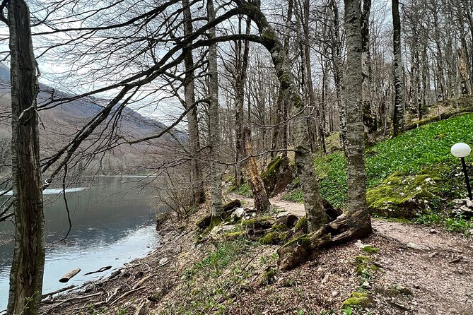 Biogradska Gora National Park Tour with Optional Add-Ons - FAQs