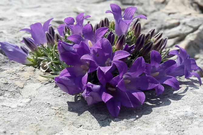 Biokovo Skywalk - Hiking the Breathtaking Mountain Peak