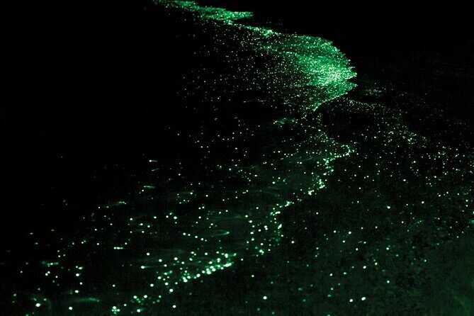 Bioluminescence and Sunset Kayak Tour in the San Juan Islands - The Value of This Experience