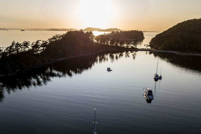 Bioluminescence and Sunset Kayak Tour in the San Juan Islands - Summary: Who Should Consider This Tour?
