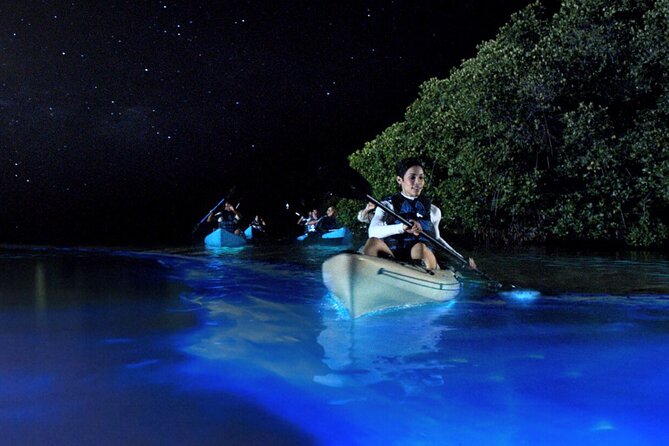 Bioluminescence Clear Kayak or Paddleboard Tour Near Orlando - Key Points