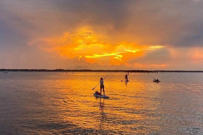 Bioluminescence Clear Kayak or Paddleboard Tour Near Orlando - Preparing for Your Kayak or Paddleboard Adventure