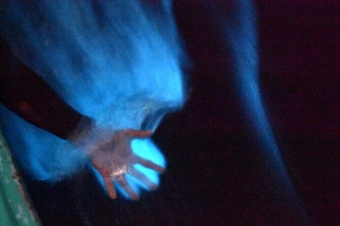 Bioluminescence in Manialtepec Night Tour from Huatulco - The Practical Side: Price, Duration, and What You’re Paying For