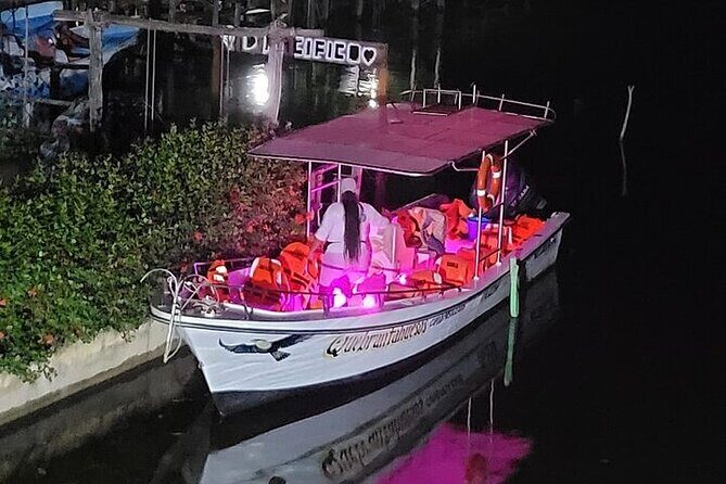 Bioluminescence in Manialtepec Night Tour from Huatulco - Final Thoughts: Is It Worth It?