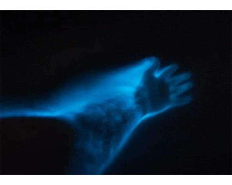 BIOLUMINESCENCE IN PUERTO ESCONDIDO - Practical Tips for Travelers