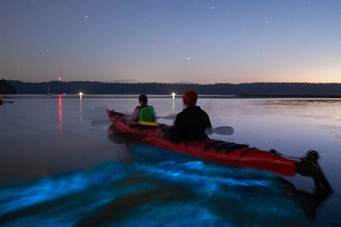 Bioluminescence Kayak Tour at Fort Flagler State Park - Exploring the Bioluminescence Kayak Tour at Fort Flagler State Park