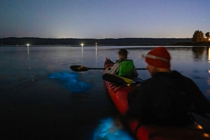Bioluminescence Kayak Tour at Fort Flagler State Park - What Makes This Tour Stand Out?